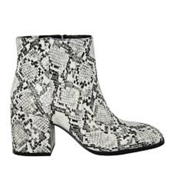Mix No. 6 | Shoes | Mix No 6 Benisa Snake Print Booties | Poshmark